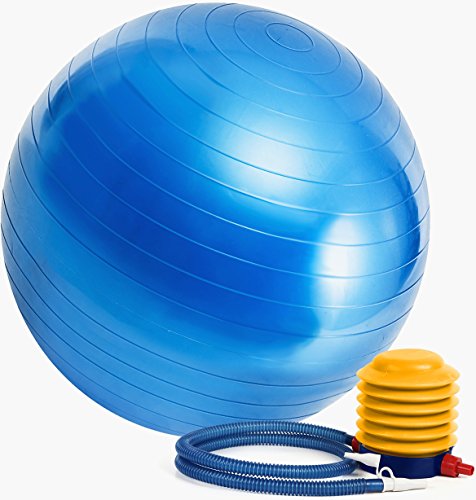 狭い室内でも扱いやすい適度なサイズのバランスボール - Active Winner バランスボール 65cm ブルー (アンチバースト仕様) ポンプ付き! ヨガボール ダイエットのレビュー ...